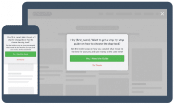 How To Effortlessly Convert Visitors Into Subscribers On Your Website?